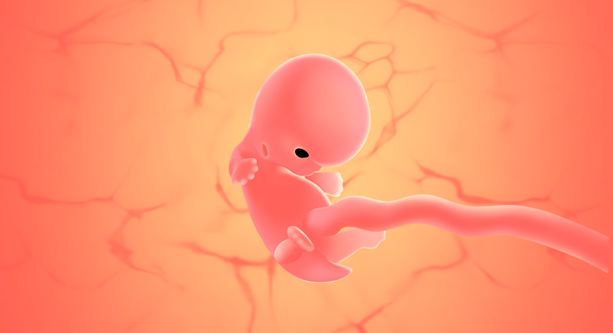 Gravid vecka 8 | Följ din graviditet vecka för vecka