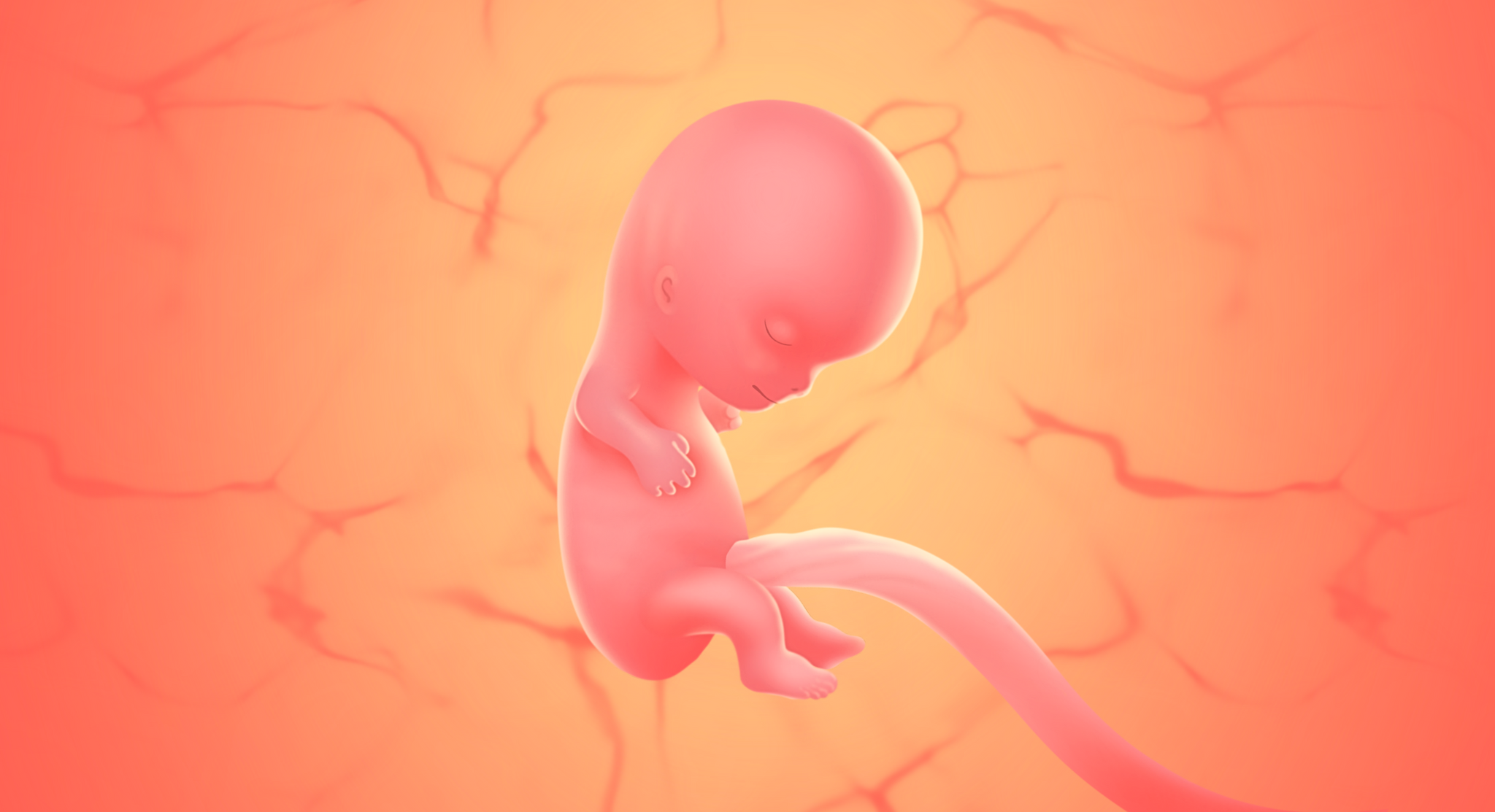 Gravid vecka 9 | Följ din graviditet vecka för vecka