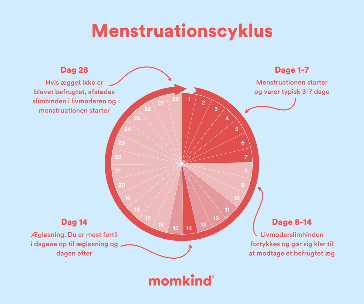 Kan man blive gravid når man har menstruation?